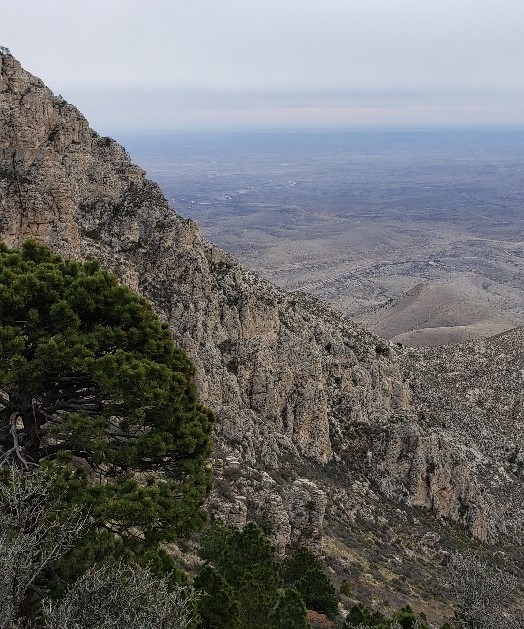 4 Seasons of Winter - Guadalupe Mountains National Park