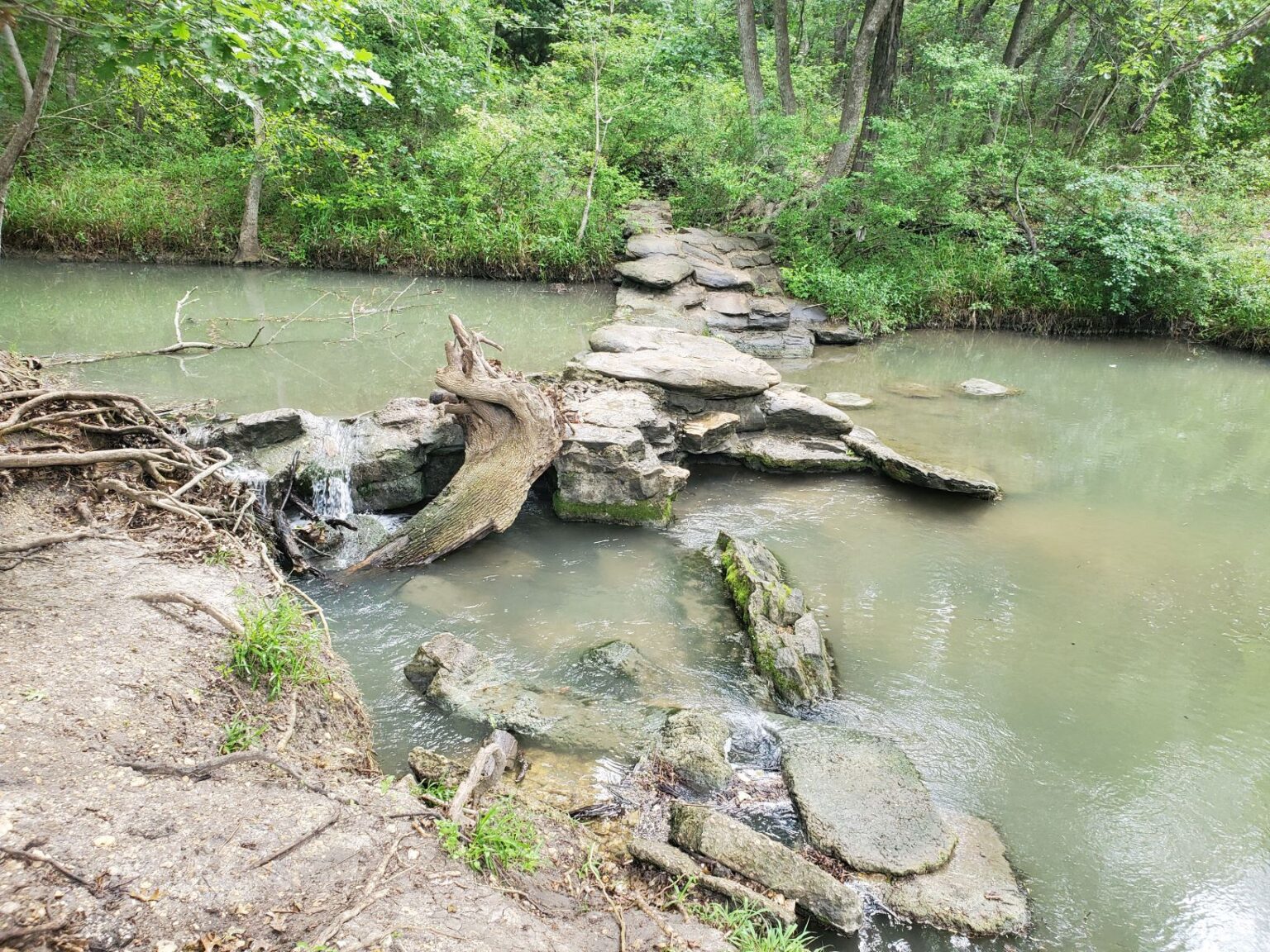 Hiking Lockhart State Park - 4 Seasons of Winter