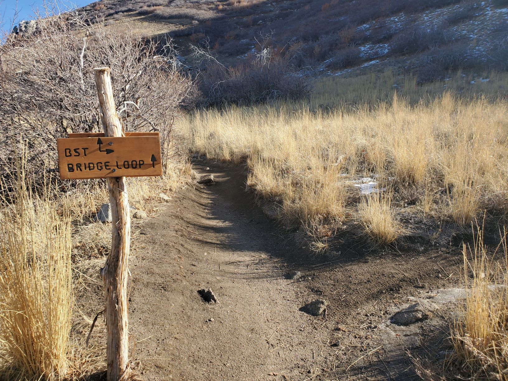 Bear Canyon Suspension Bridge - 4 Seasons of Winter