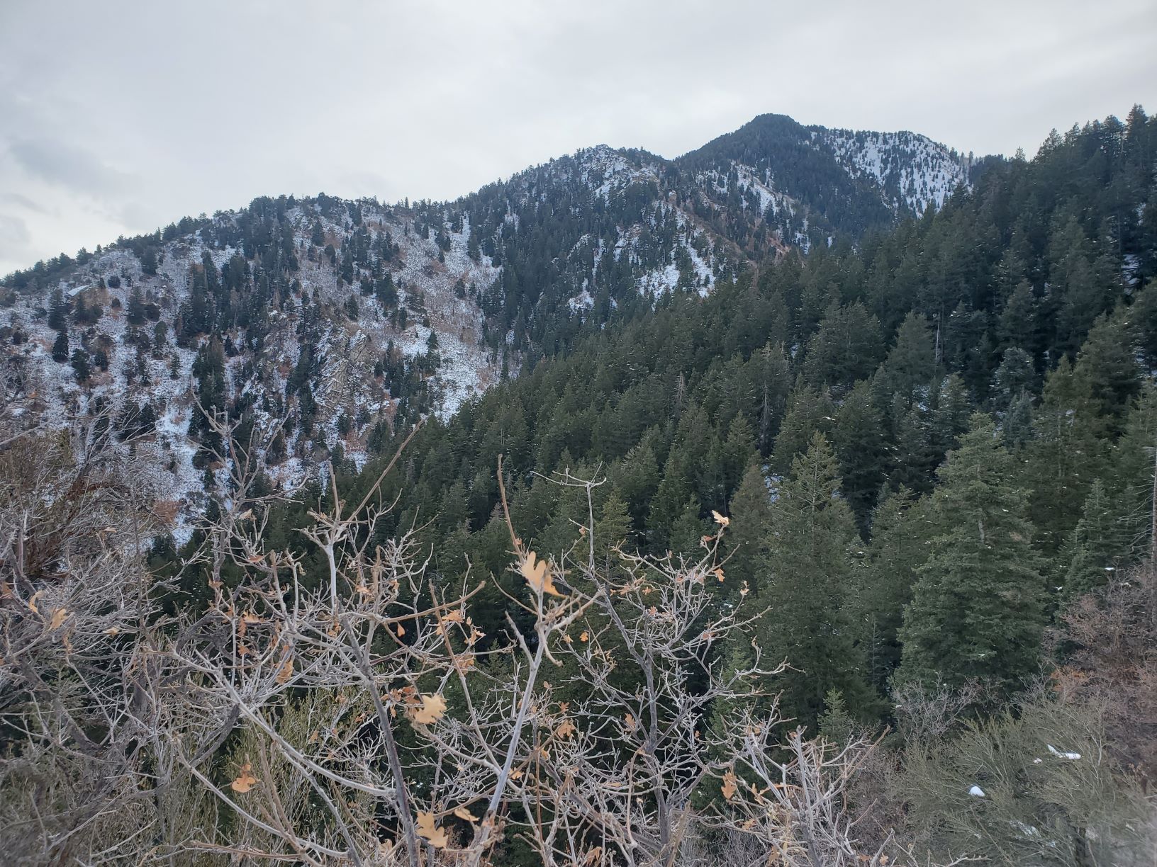 Desolation Trail to Salt Lake Overlook - 4 Seasons of Winter