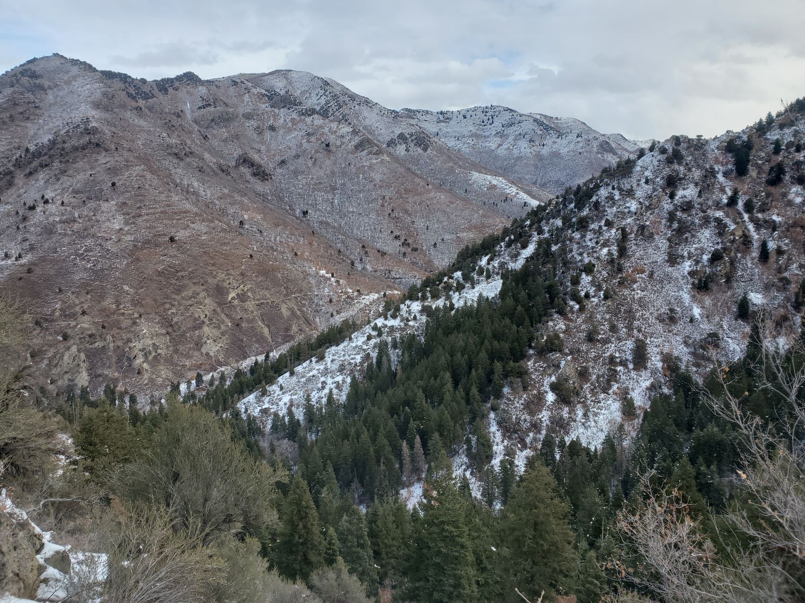 Desolation Trail to Salt Lake Overlook - 4 Seasons of Winter