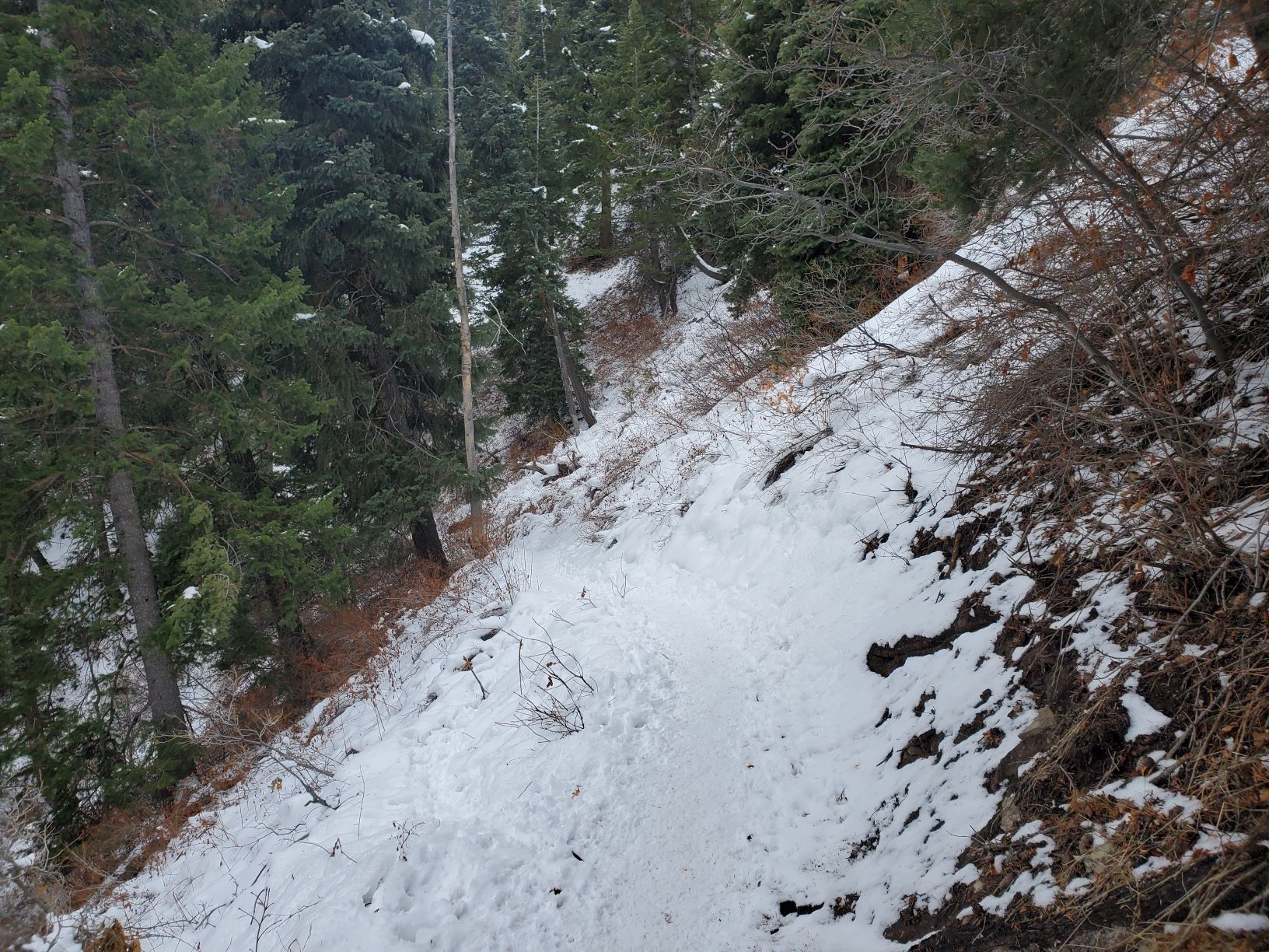 Desolation Trail to Salt Lake Overlook - 4 Seasons of Winter